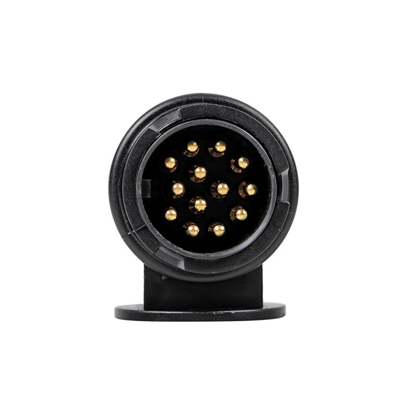 13-poliger Stecker, CHF 12.00